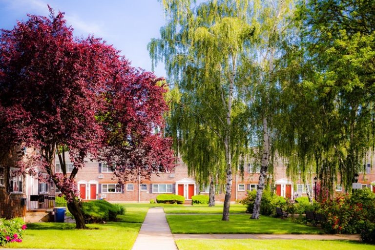 Fresh Meadows: A Quiet, Suburban Gem in Queens, New York – New York City