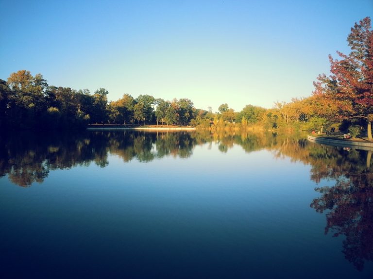 Fresh Meadows: A Quiet, Suburban Gem in Queens, New York – New York City